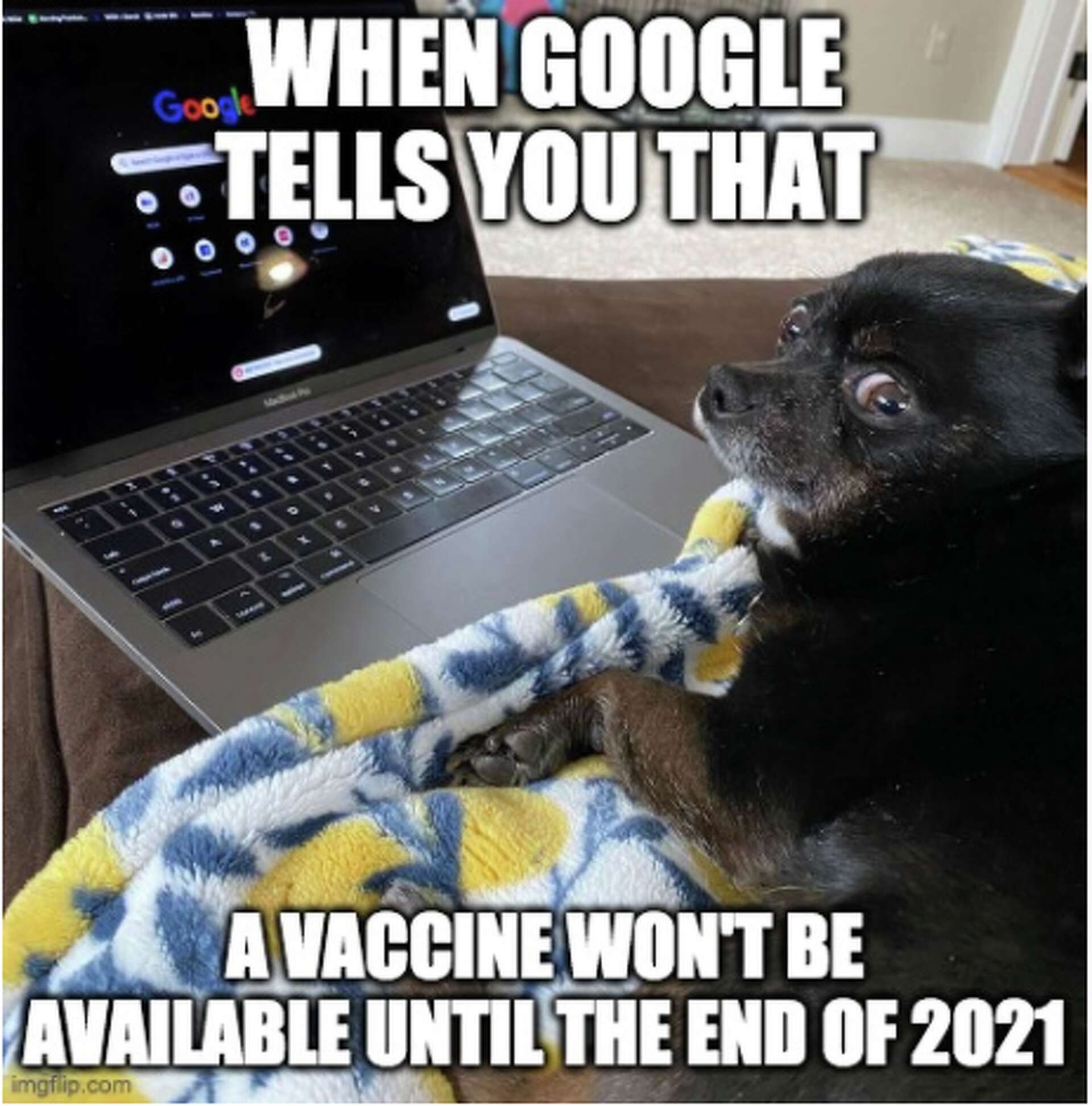 Animal Care Memes