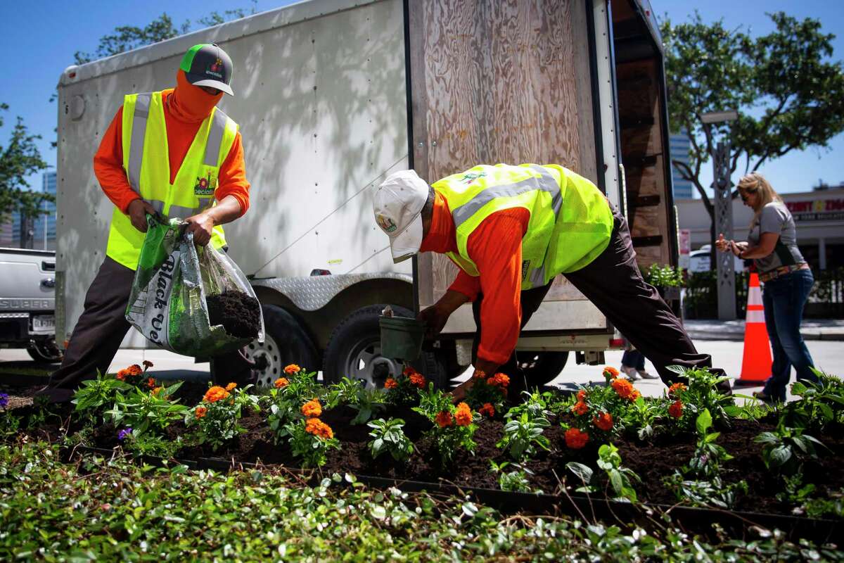 Houston landscaper offers tips for planting an eye-popping garden