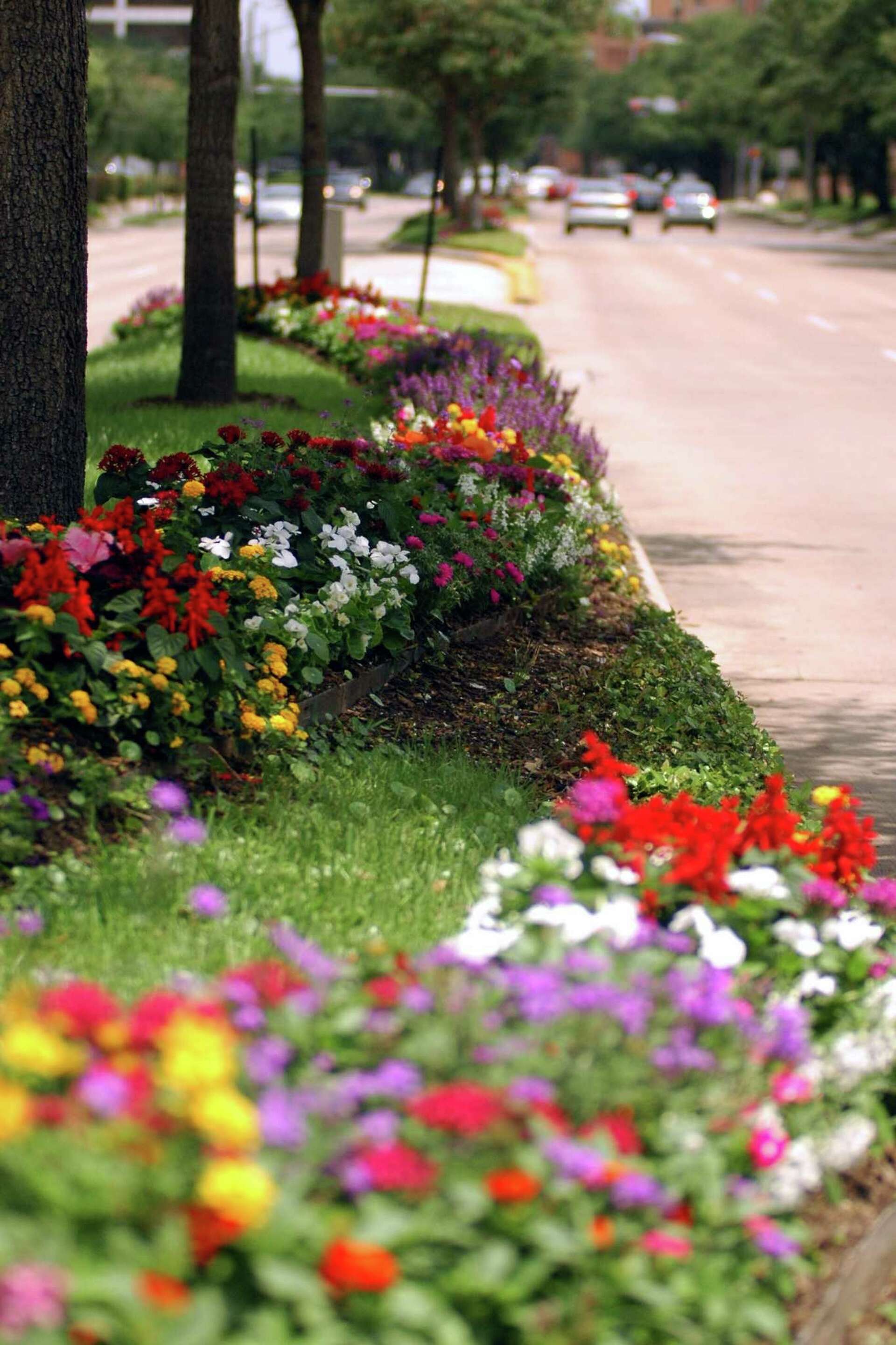 Houston landscaper offers tips for planting an eye-popping garden