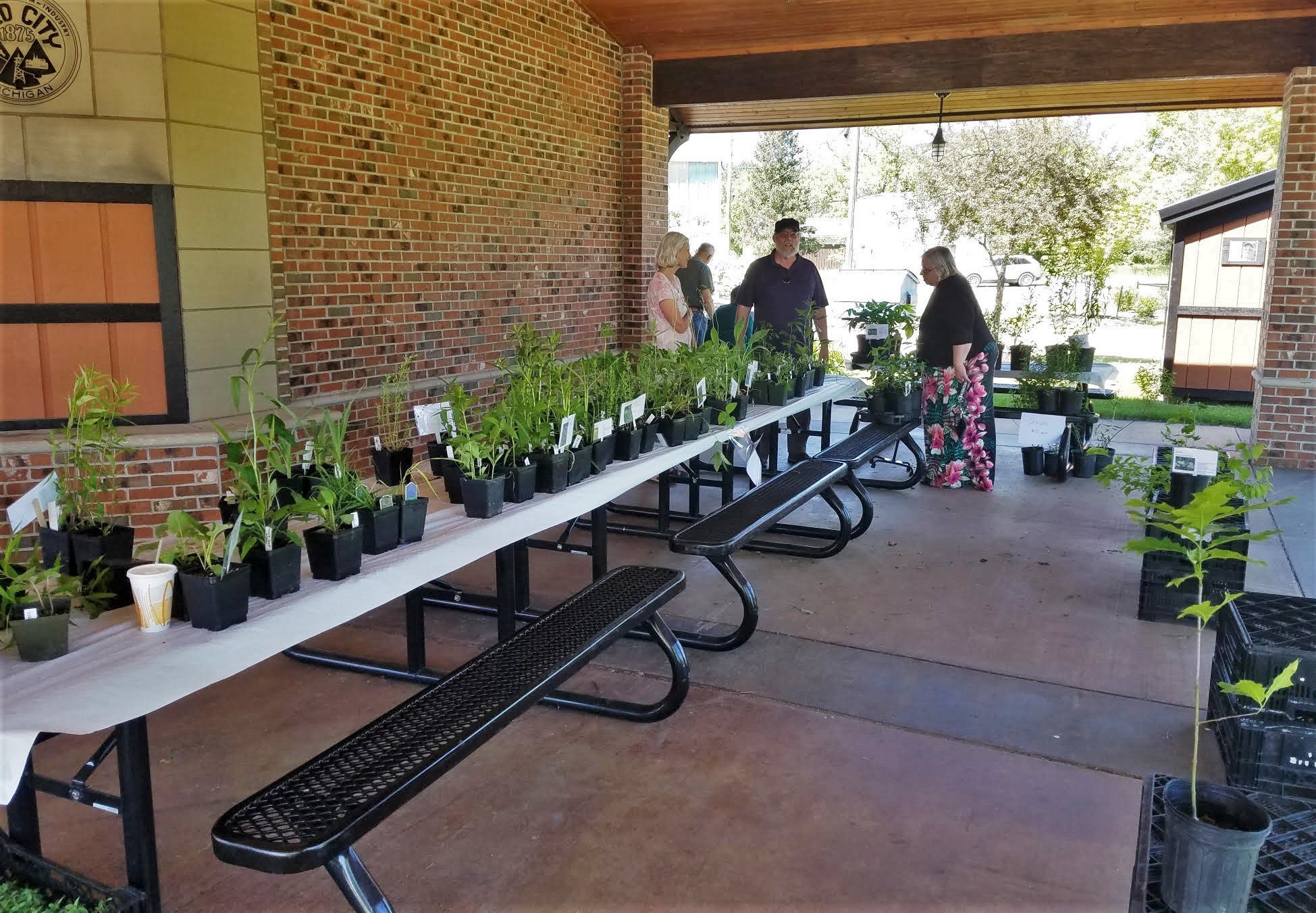 Annual Native Plant Sale set to return next month