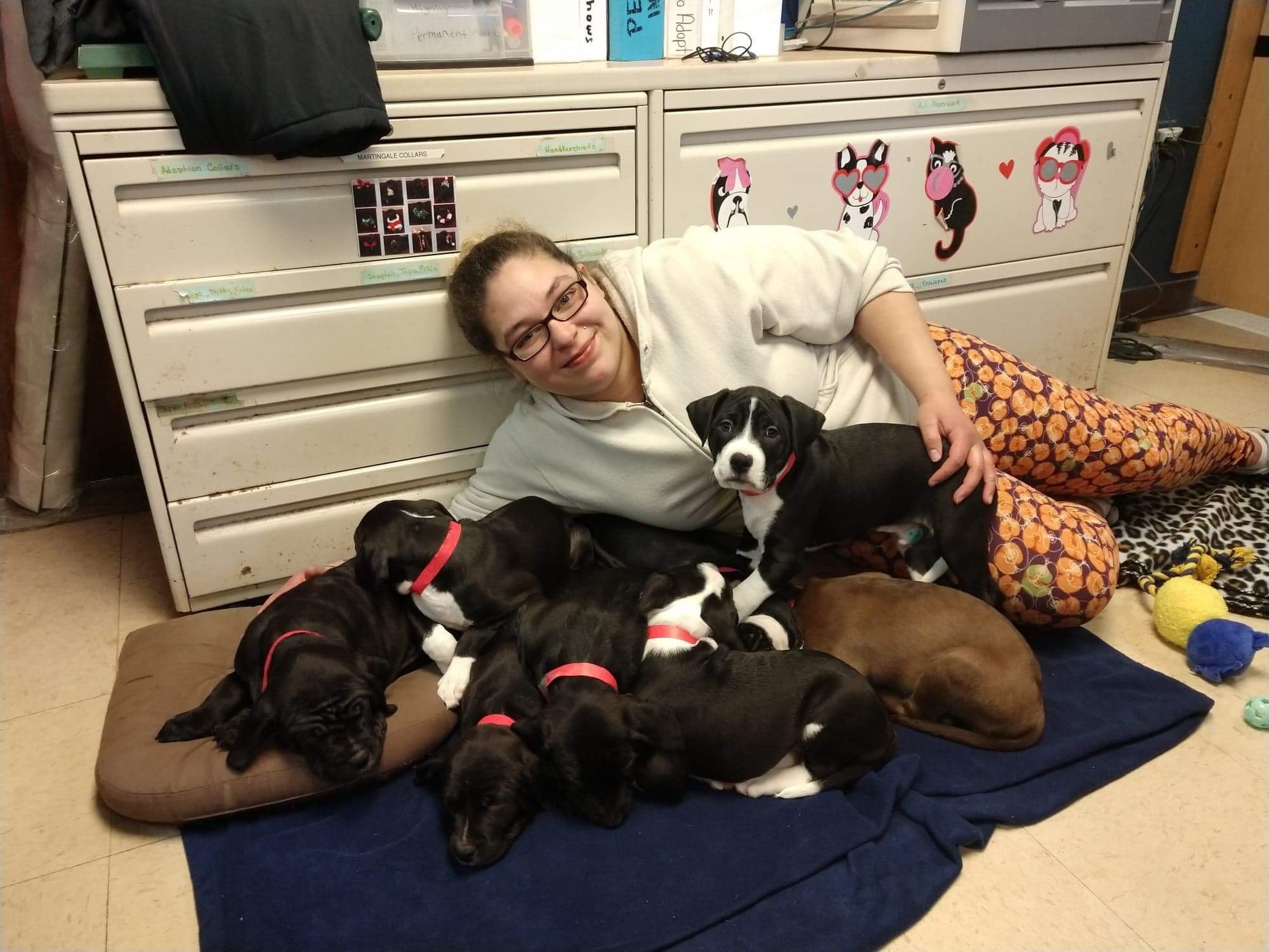 Modern Heroes: Chantal Smith, Humane Society of Midland County