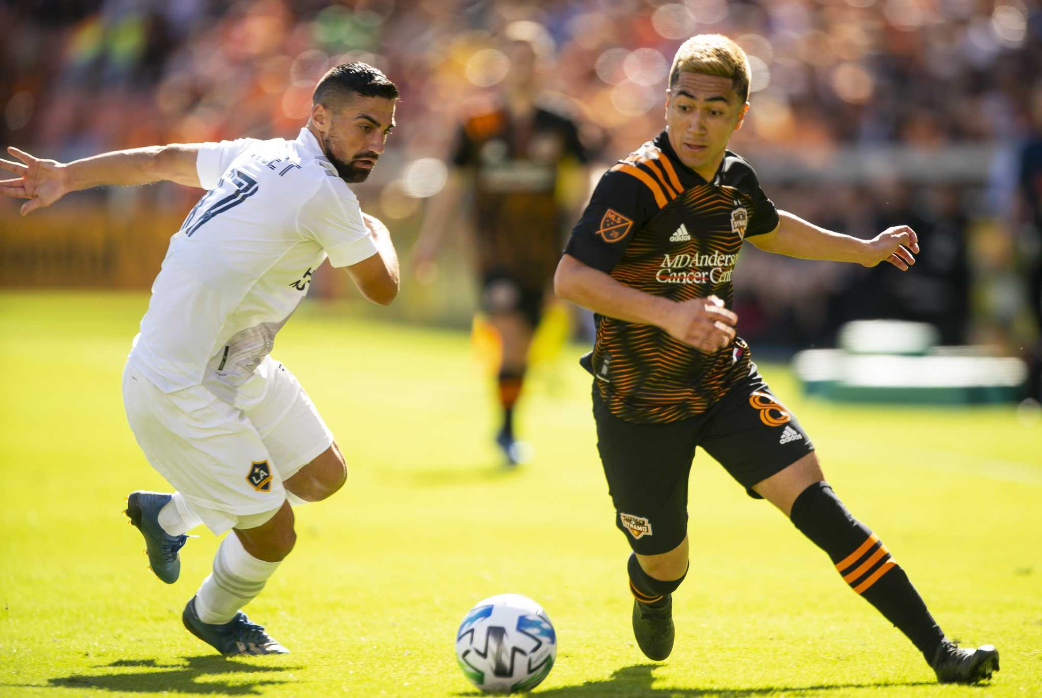 Dynamo return to new-look practice