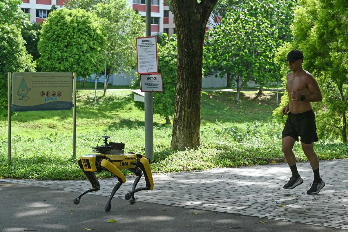 Video shows dog-like robot instructing people to socially distance in ...