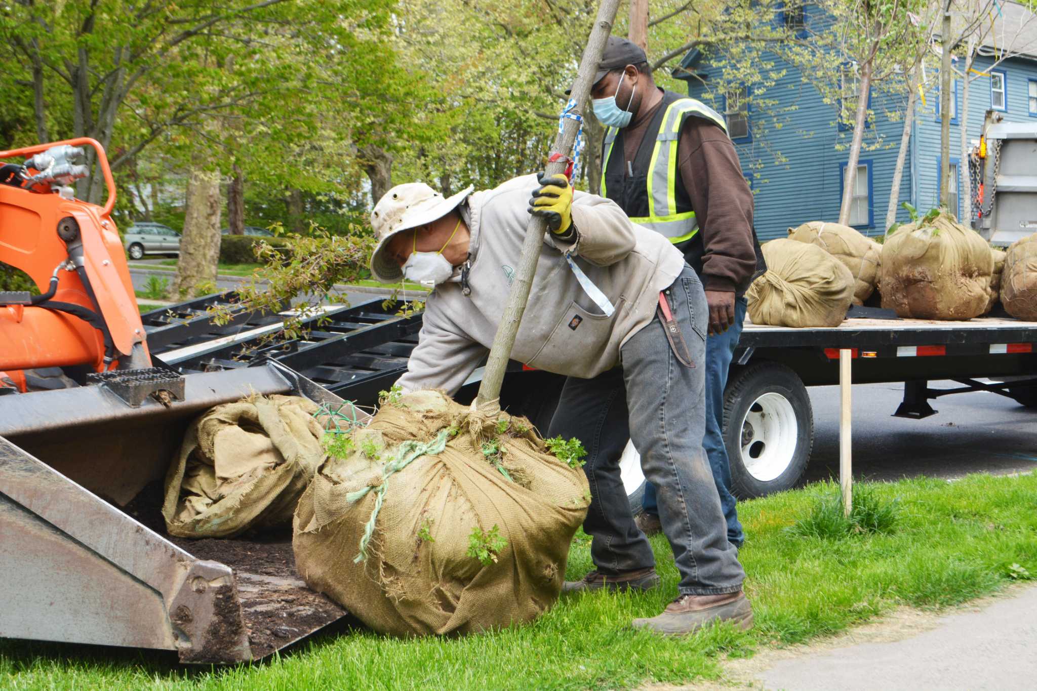 Middletown plants 18 trees as part of beautification project in urban area
