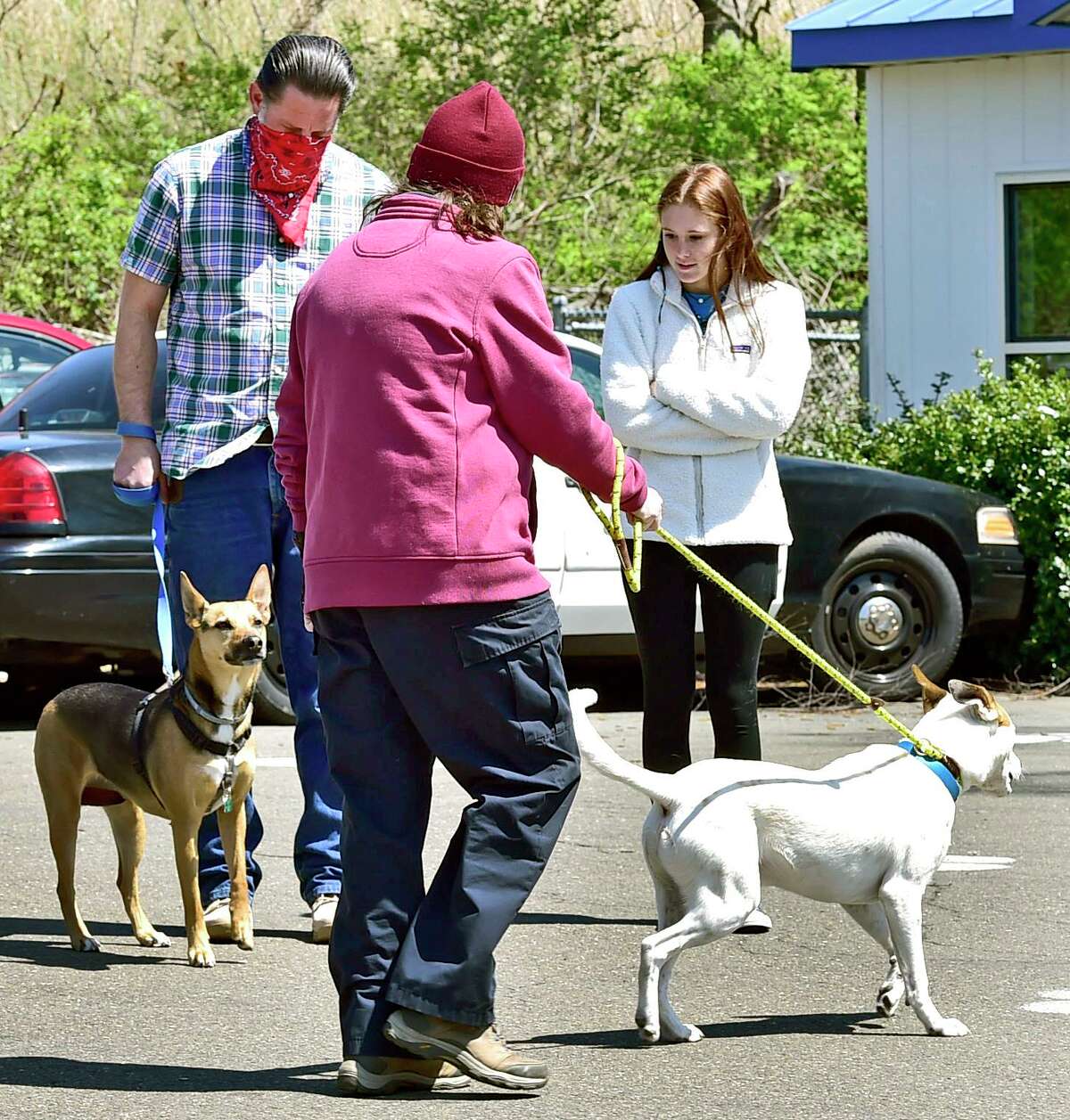 Juggling increased demand and social distancing, a Branford animal ...