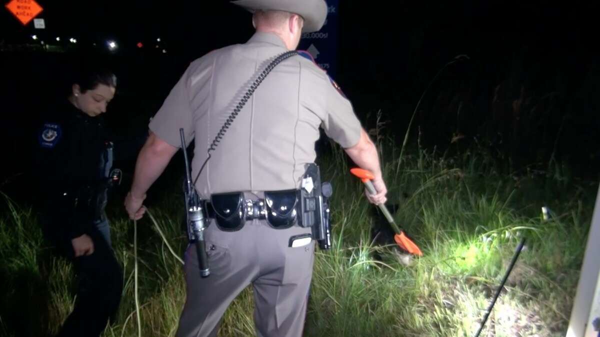 Police wrestle alligator found roaming near Conroe neighborhood