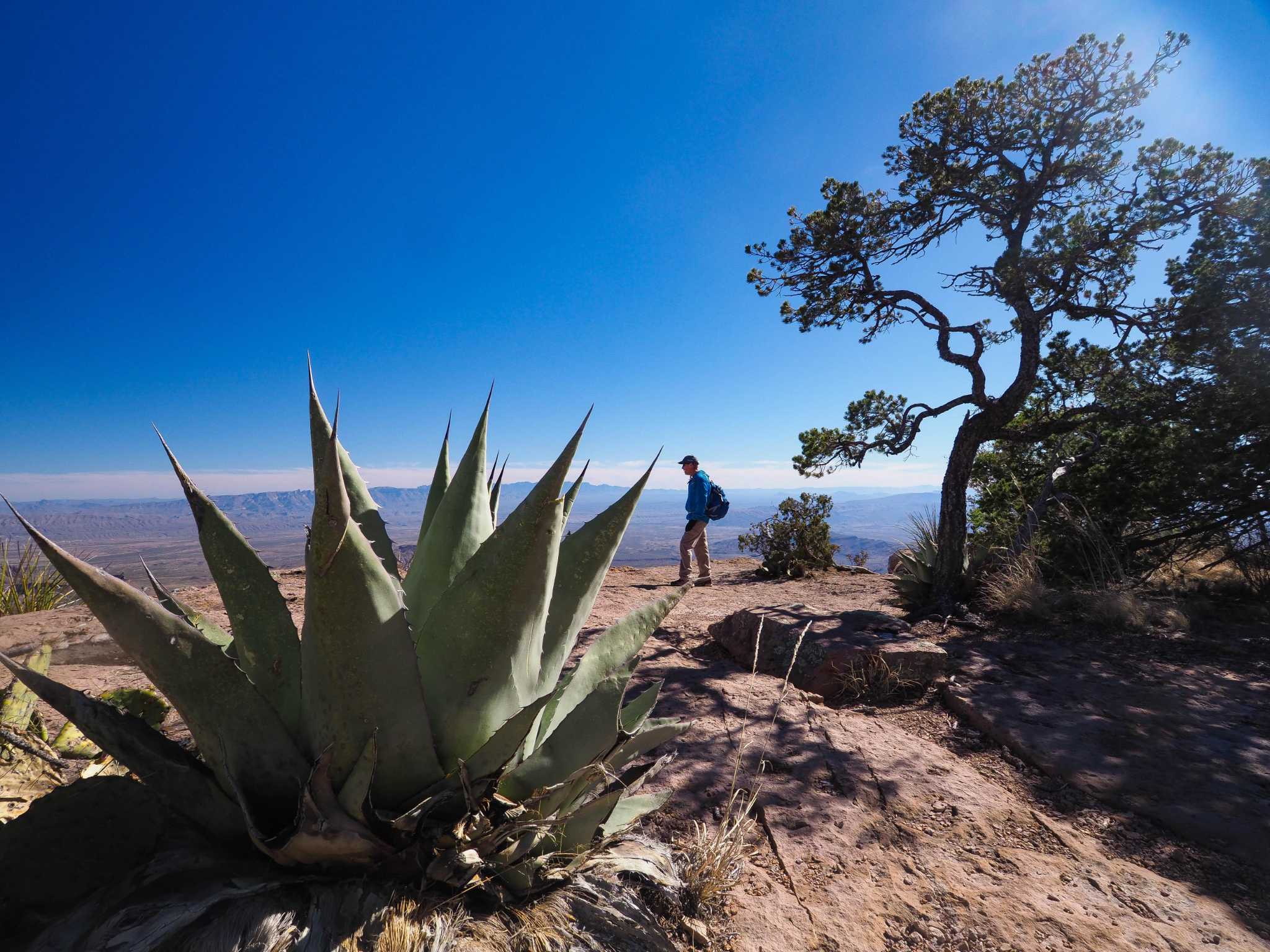 Chisos Mountain trails to reopen after South Rim Fire