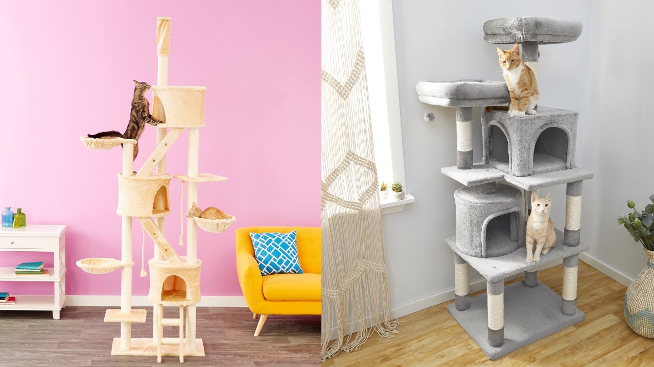 The best cat towers for a multi-cat household