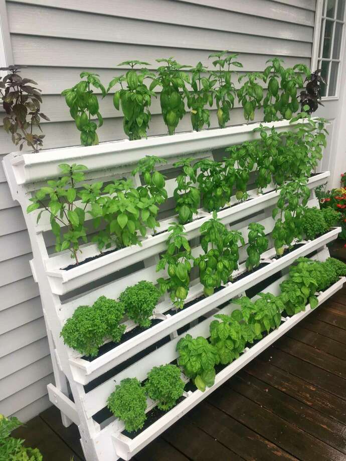 Vertical gardening: A good way to increase growing space - Midland ...