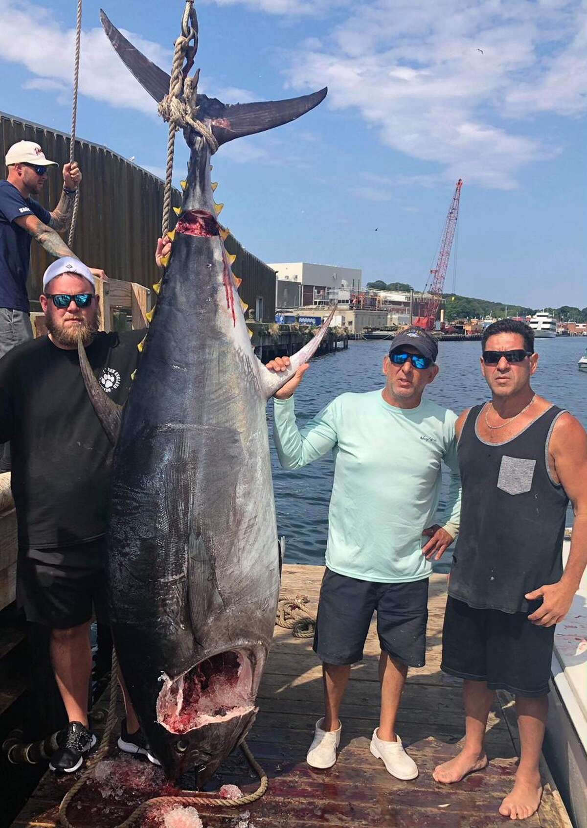 Going for the big tuna: Shelton native Aldo Addario featured on ...