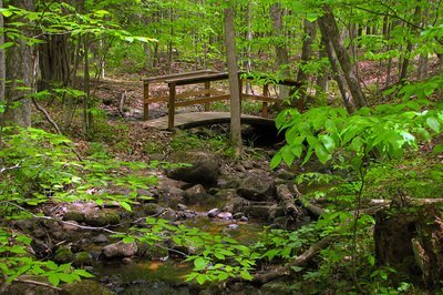 Mecosta County parks to reopen with certain restrictions