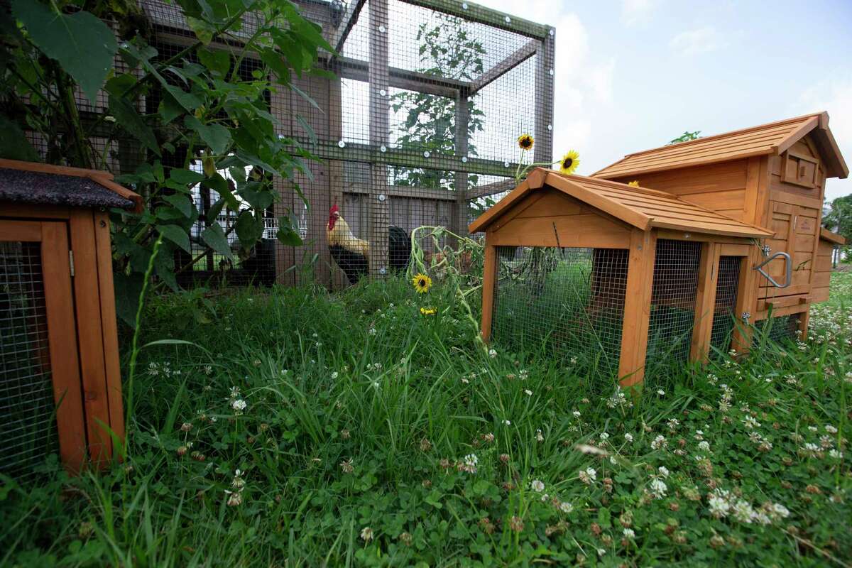 Meet the new head of Hope Farms