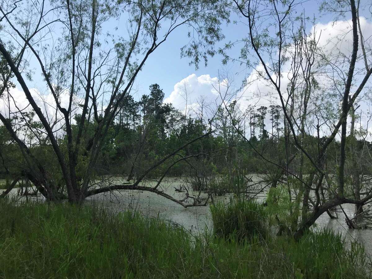 Memorial Day tribute held at swamped historic cemetery