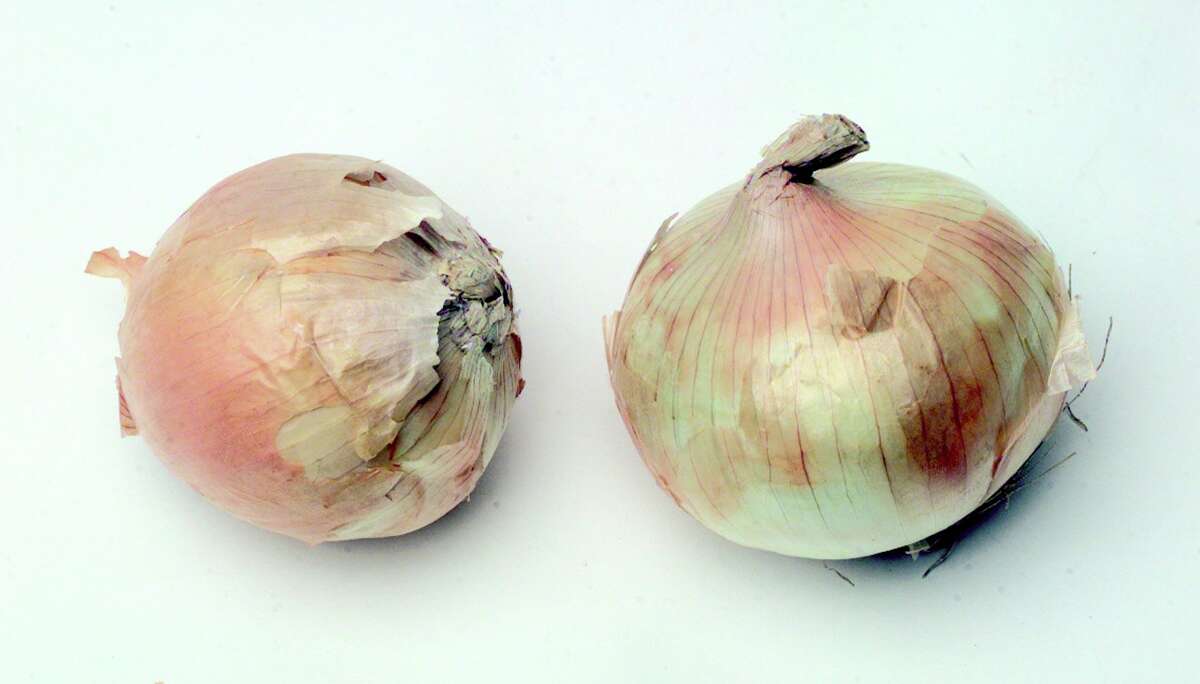 Texas 1015 Sweet Onions are the star of the season in these 4 dishes
