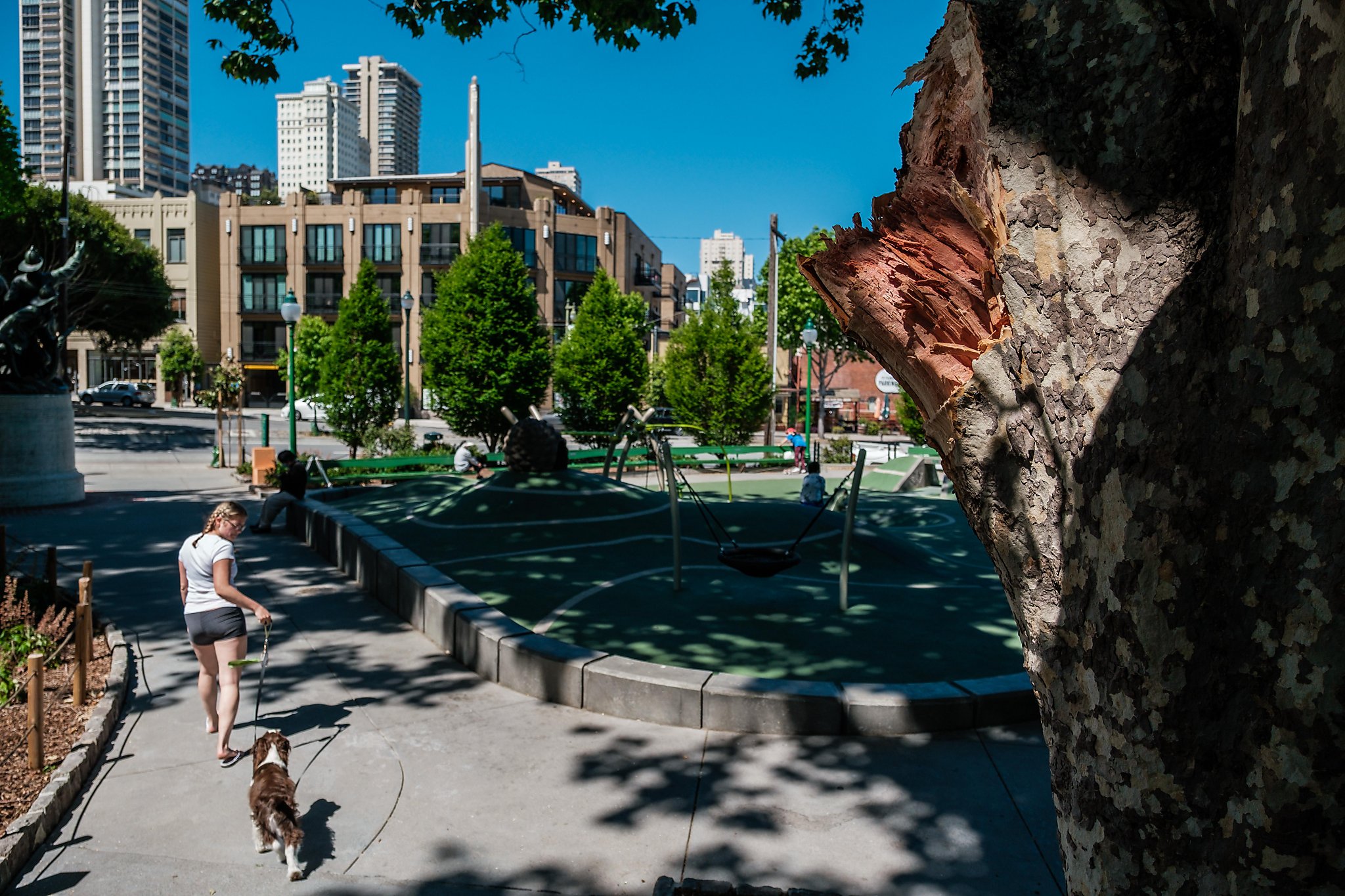 Another tree limb injures people at SF’s Washington Square, raising ...