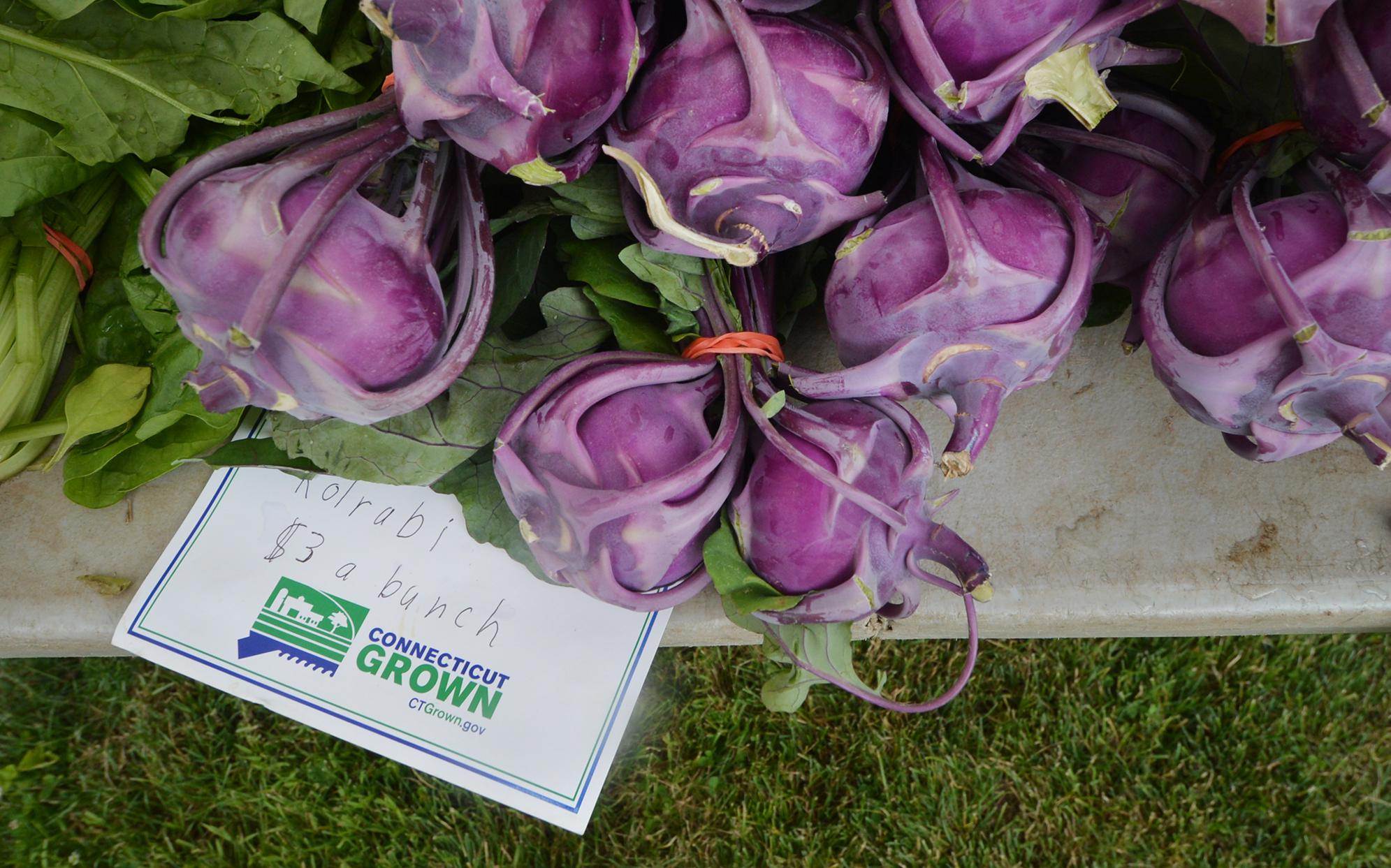 Wilton Bulletin Board: Literature, farmers market