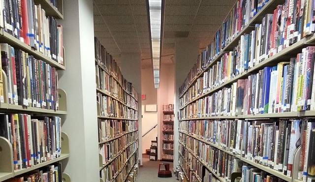 Hayner library reopens with curbside service