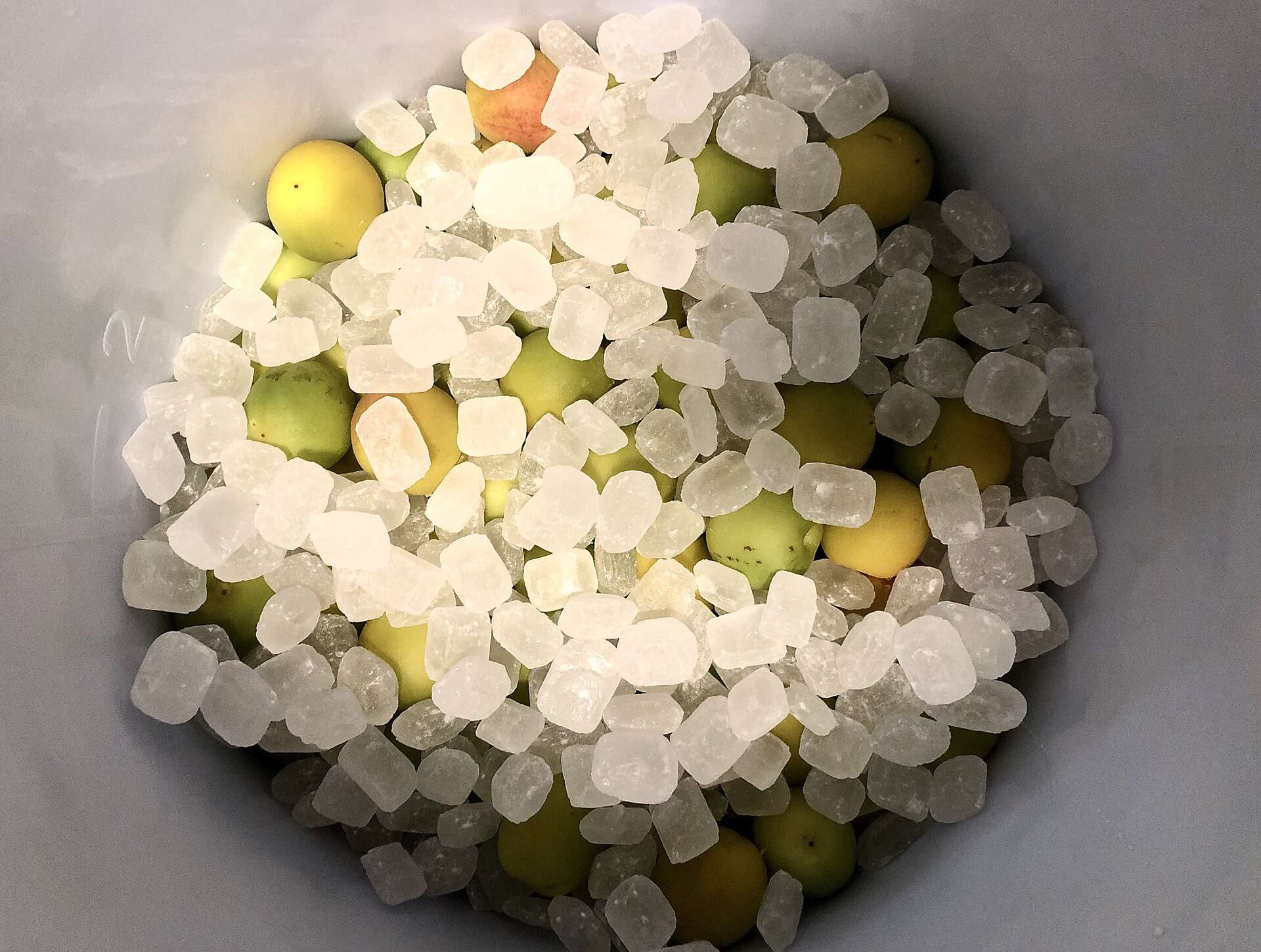 What to do when you have tons of ume and you can’t concentrate on anything