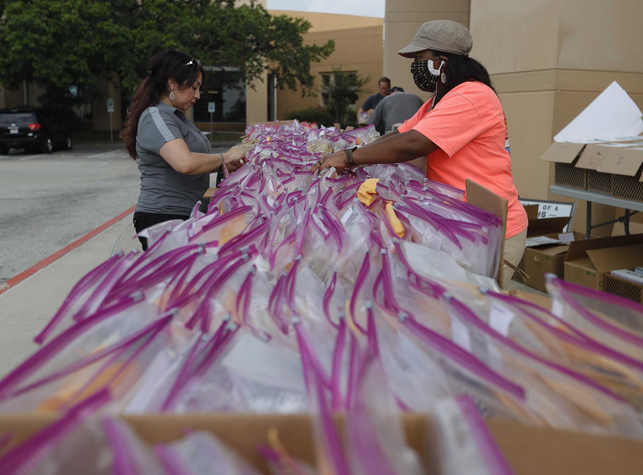 Essay: Learning in the time of coronavirus and the lessons I didn’t get ...