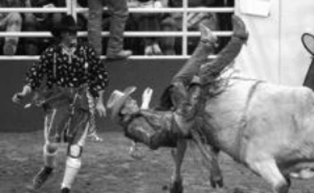S.A. rodeo becomes a jewel of PRCA circuit