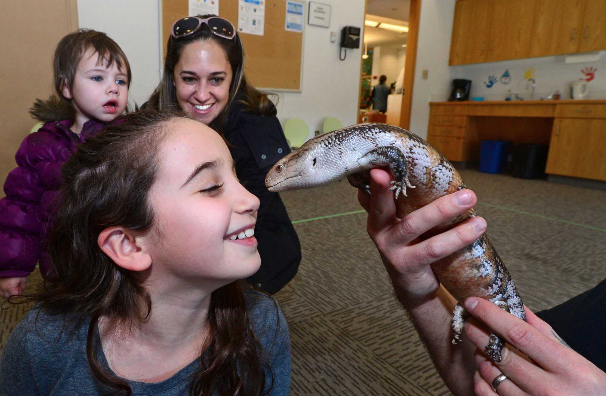 Wilton Bulletin Board: Farm stand, What’s It Wednesday, reptiles