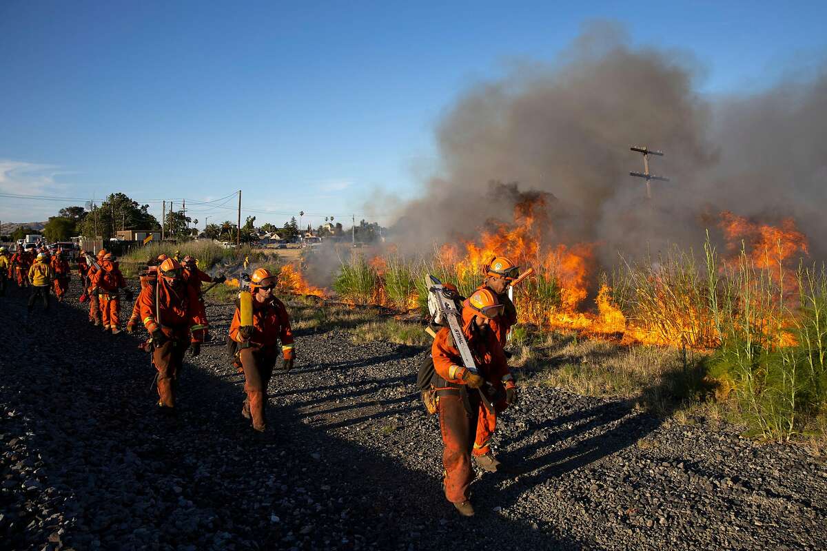 Grass fire breaks out in Suisun City, homes and a wildlife center burn