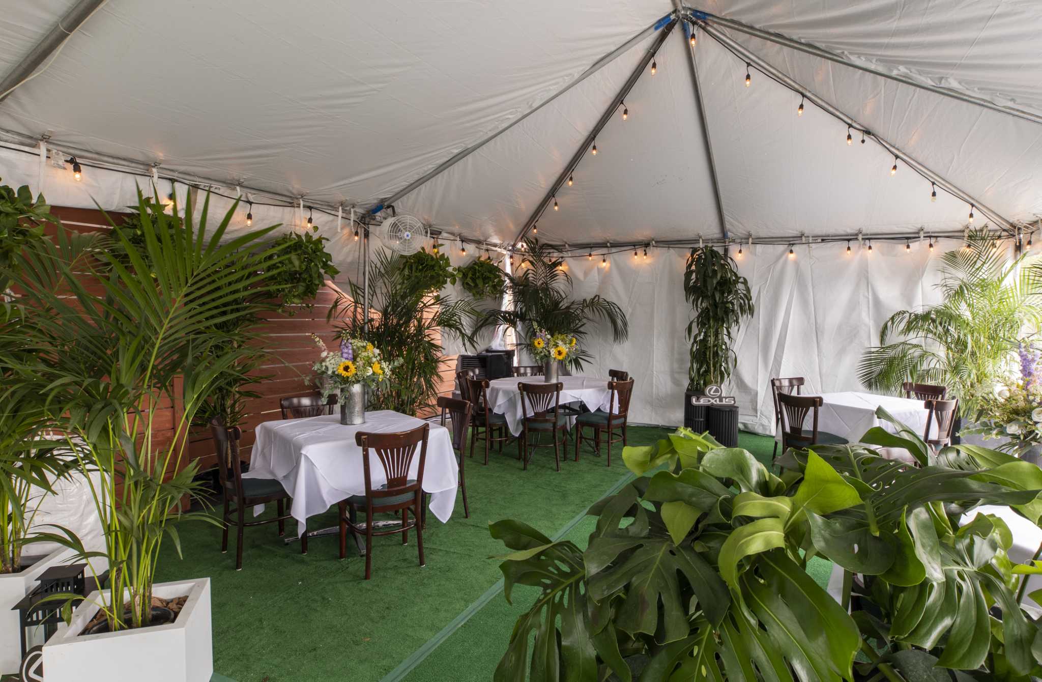 Chris Shepherd's One Fifth in Montrose to join Lucille's patio pop-up ...