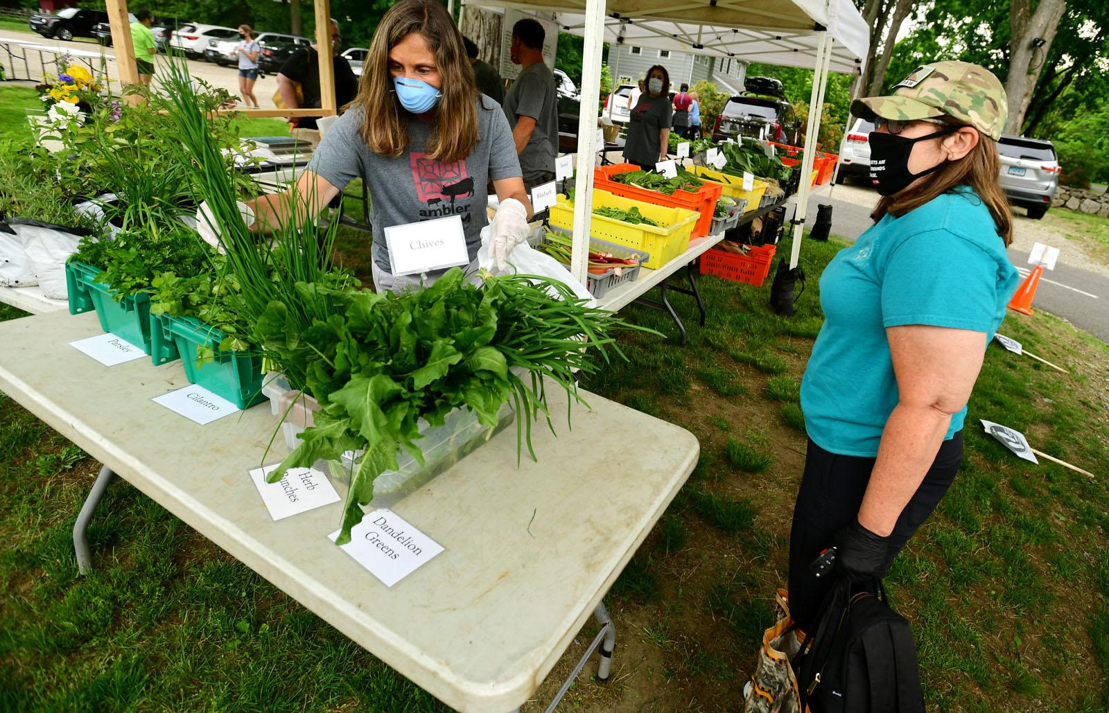 Wilton Bulletin Board: Food, music, conservation