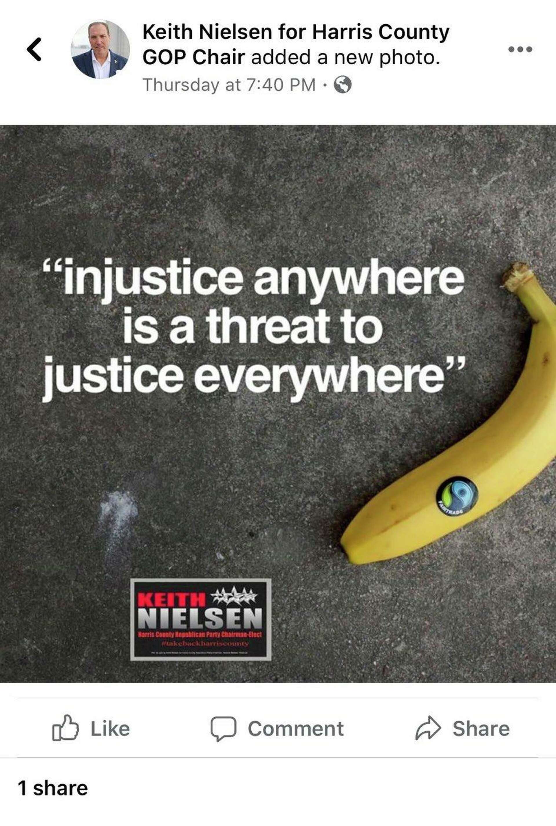 Harris County GOP chair-elect Nielsen faces criticism for post of MLK quote next to banana