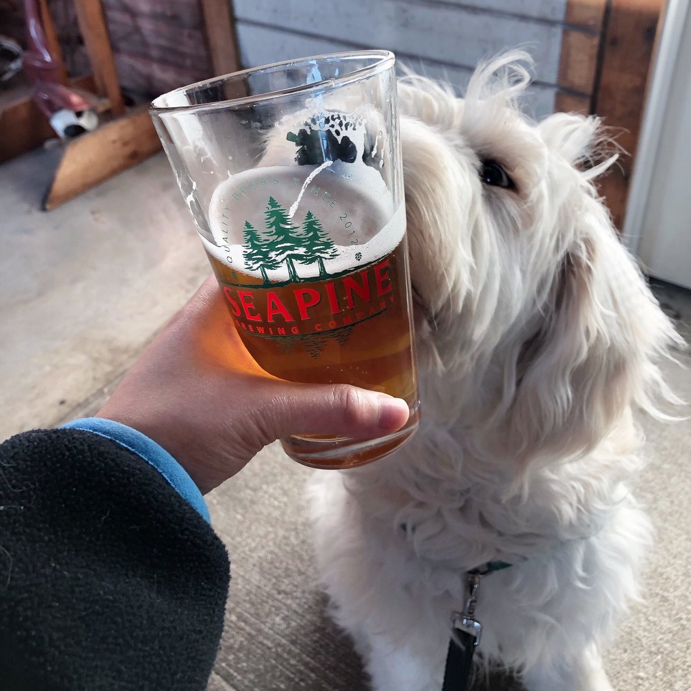 You voted, we listened: SeattlePI names its official IPA Champion