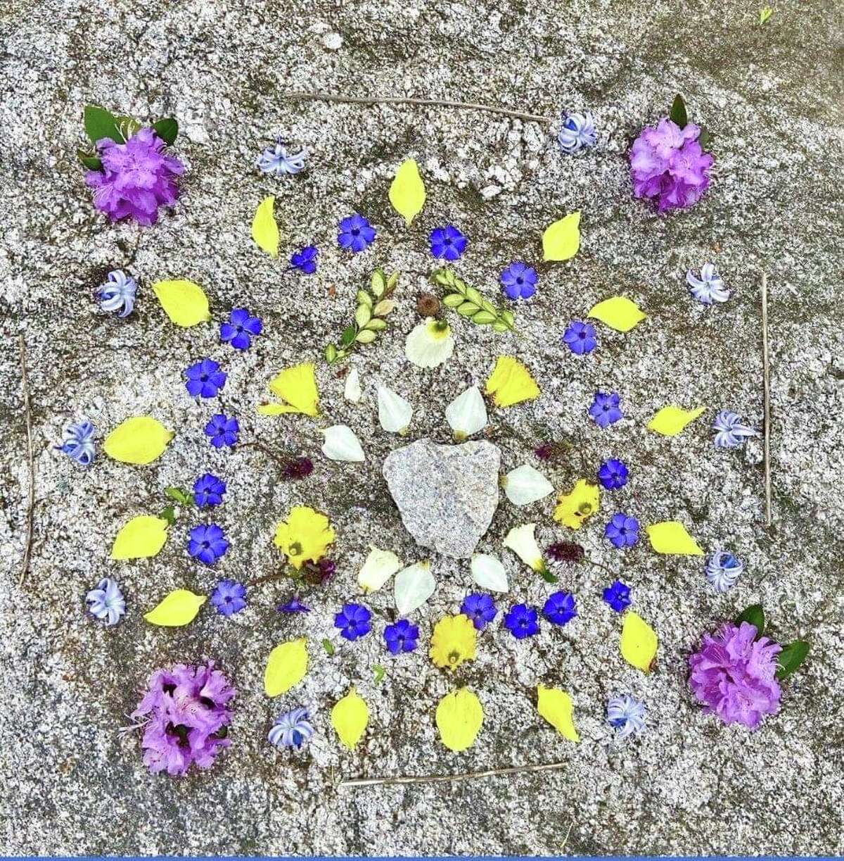 Exploring children’s interests key to bringing Norwalk enrichment ...