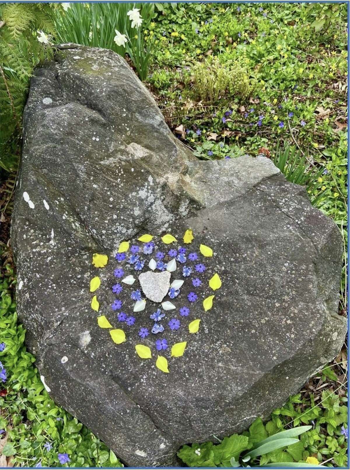 Exploring children’s interests key to bringing Norwalk enrichment ...