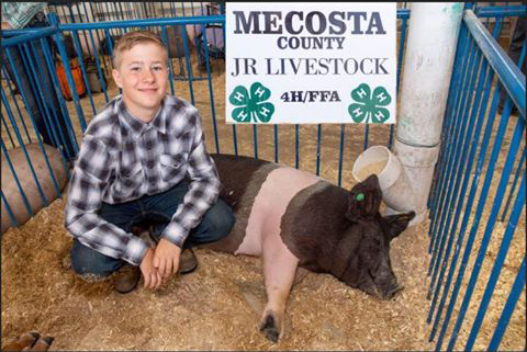Mecosta County Fair: Virtual edition - Big Rapids Pioneer