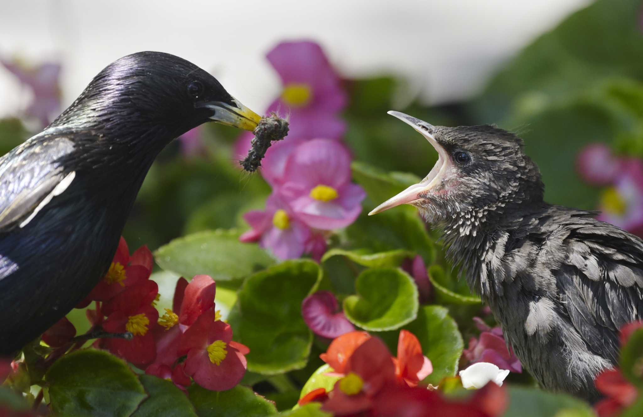 Jason Gough's forecast: From Miami to Middleburgh in one day
