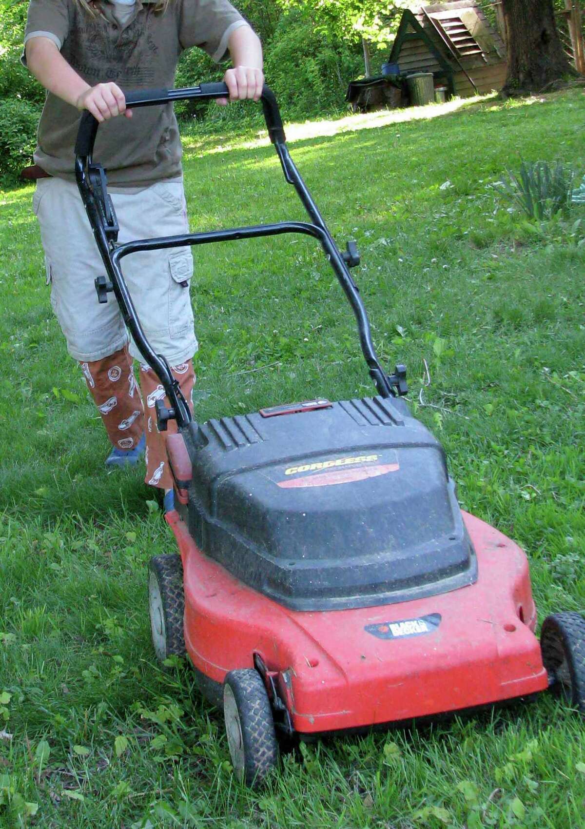 Calvin Finch: Your summer lawn care guide