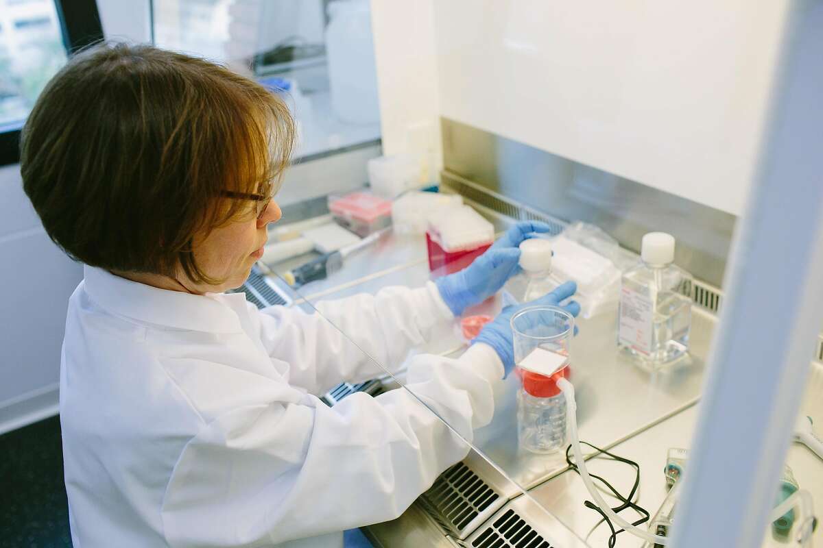 SARS antibodies block coronavirus infections, study shows