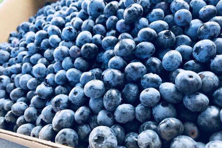 12 U-pick Washington berry farms to visit this summer
