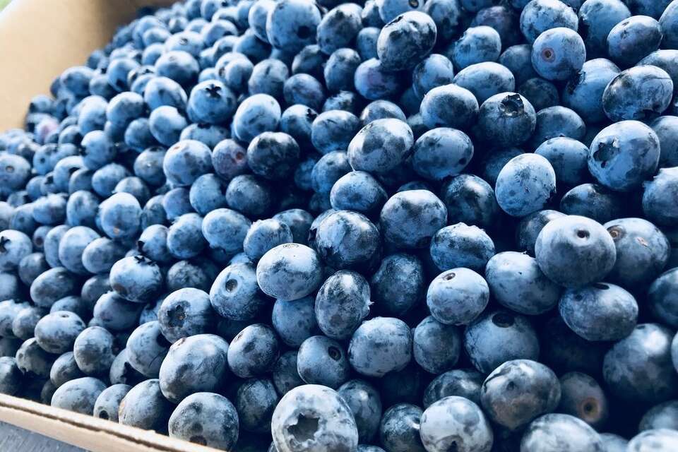 12 U-pick Washington berry farms to visit this summer