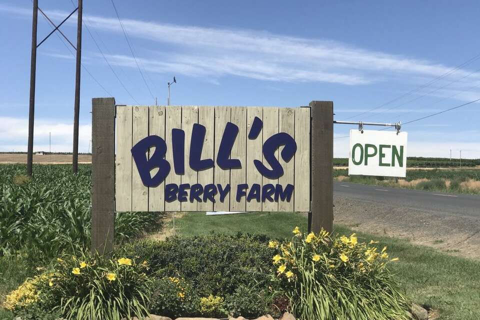 12 U-pick Washington berry farms to visit this summer