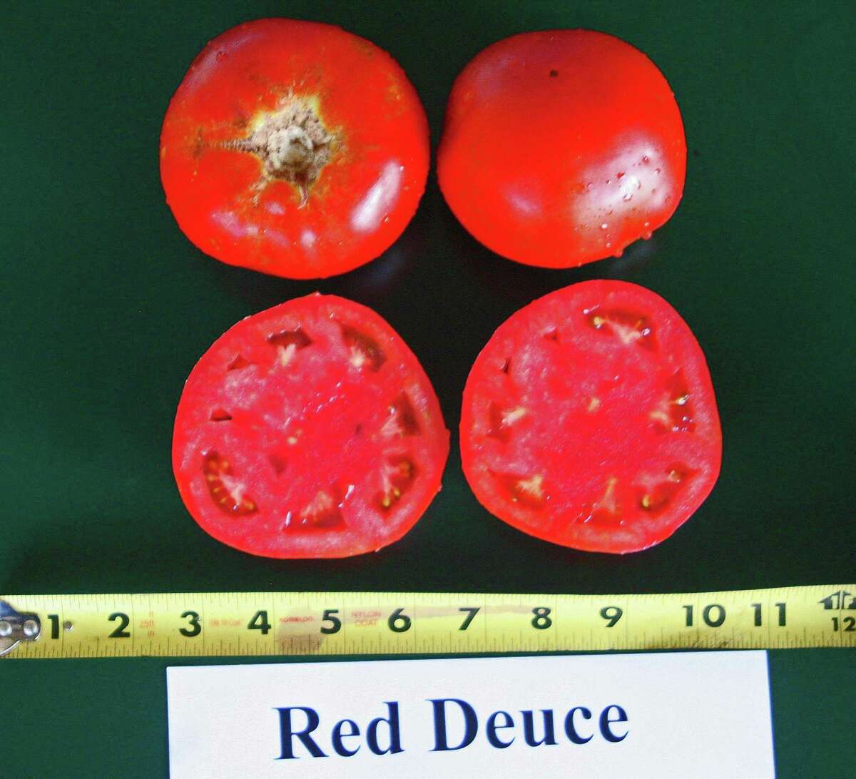 Calvin Finch: It’s time for San Antonio tomato gardeners to start over ...