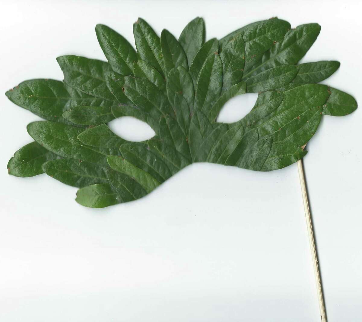 Artpace lesson teaches kids to make masks with plants