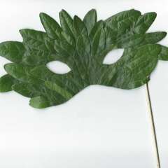 Artpace lesson teaches kids to make masks with plants