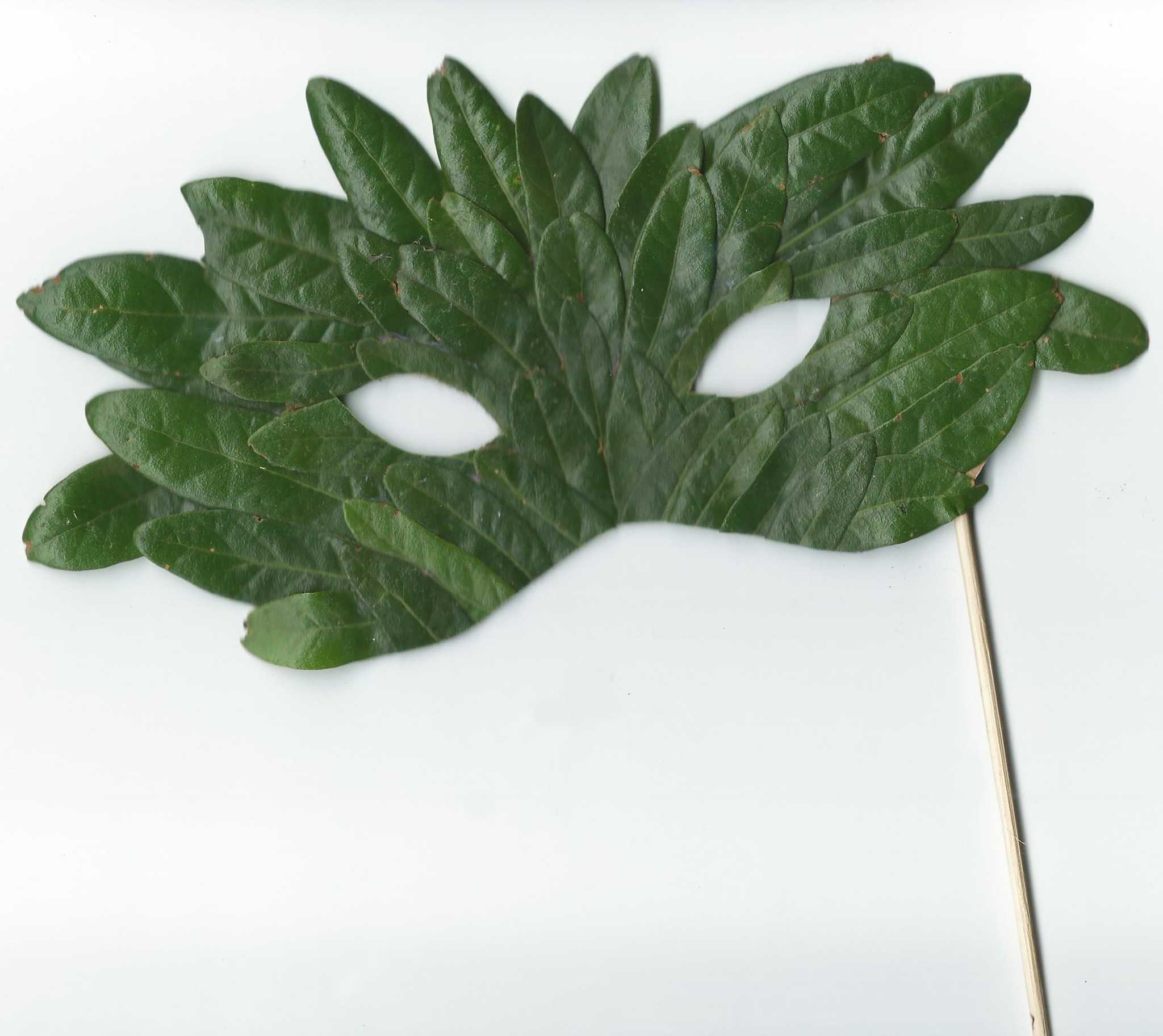 Artpace lesson teaches kids to make masks with plants