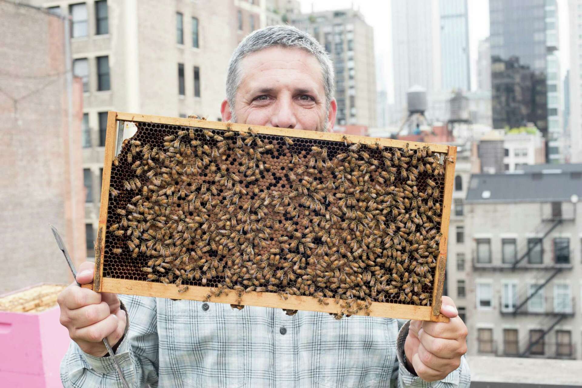 Norwalk’s urban beekeeper says honey is in his veins