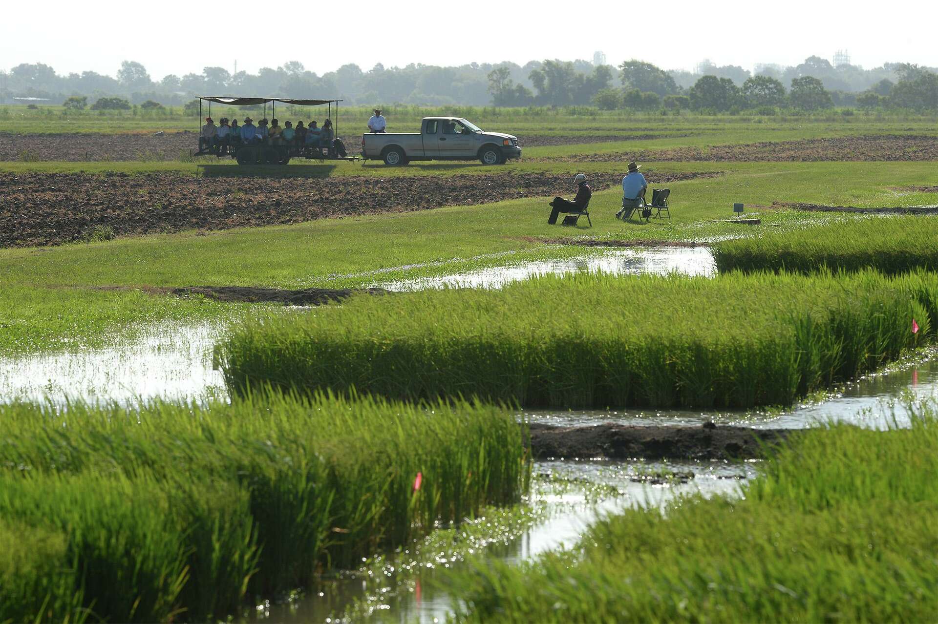 South Texas staples menudo, rice and barbecue all have African roots