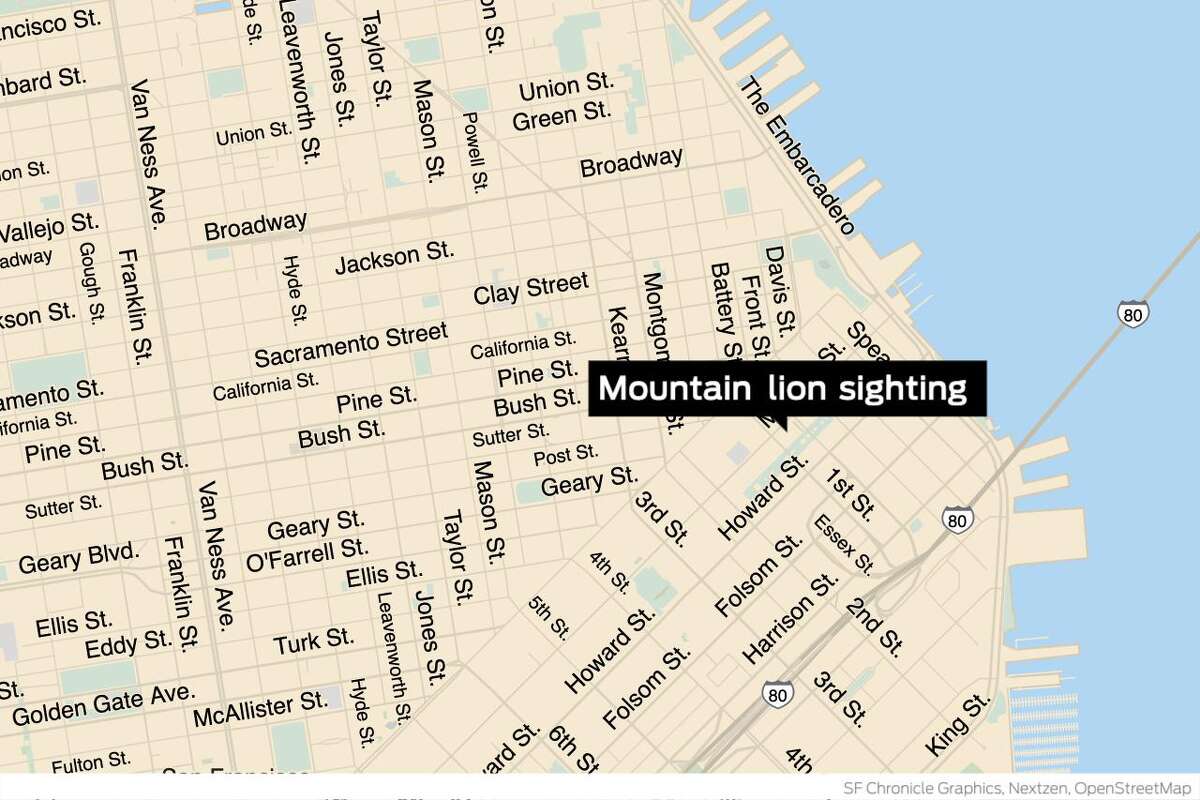 Mountain lion spotted in San Francisco — again