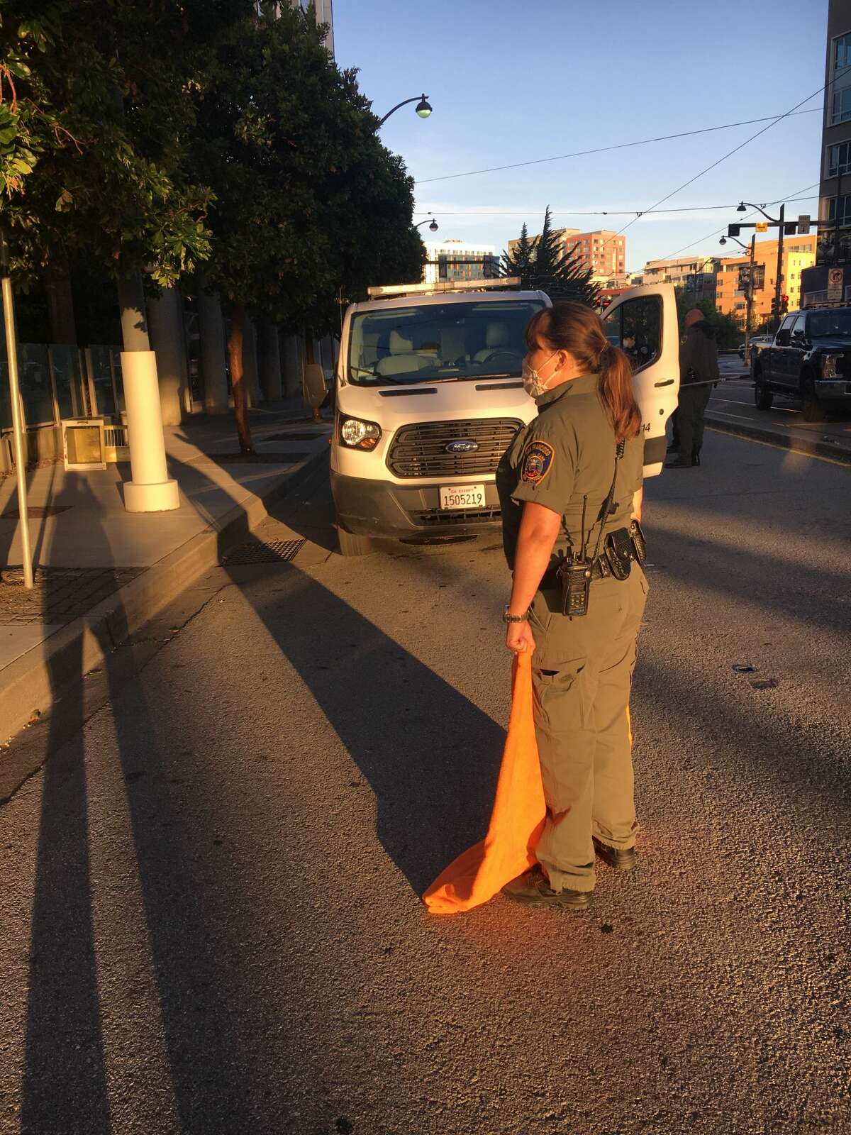 3 marsupials found dead at SF Zoo, a mountain lion cub is a suspect