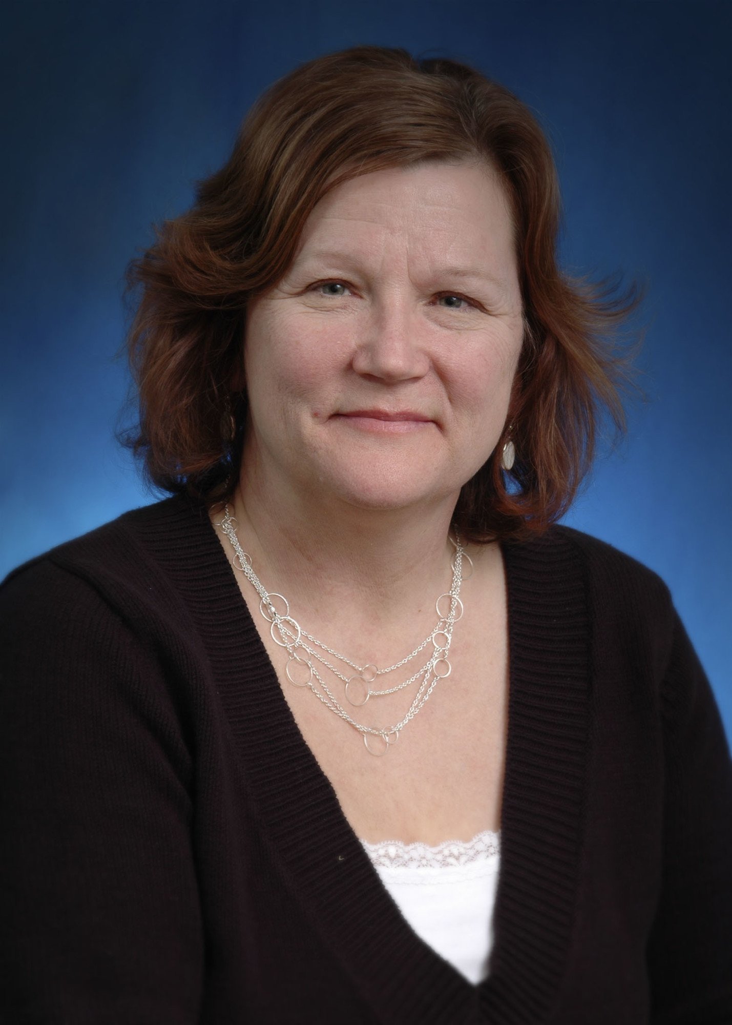 SVSU initiative for registered nurses ranked among state's elite programs