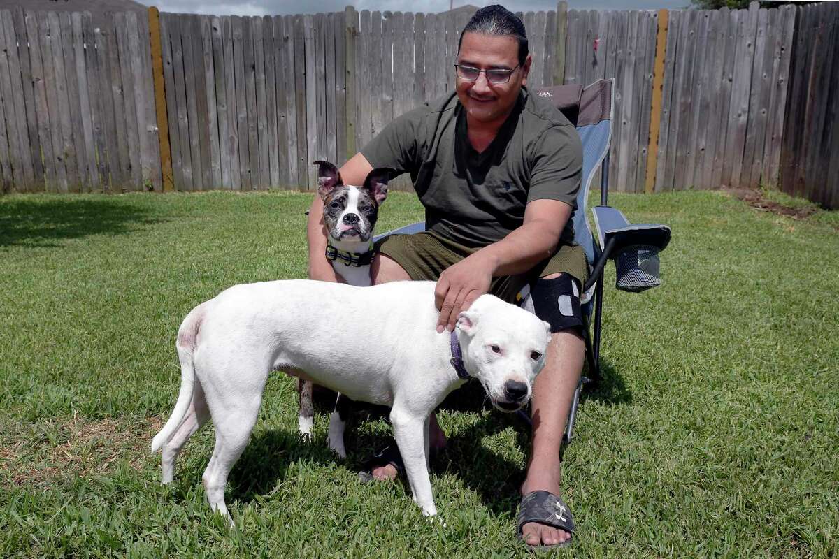 Going back to work? Here’s how to transition your pets.