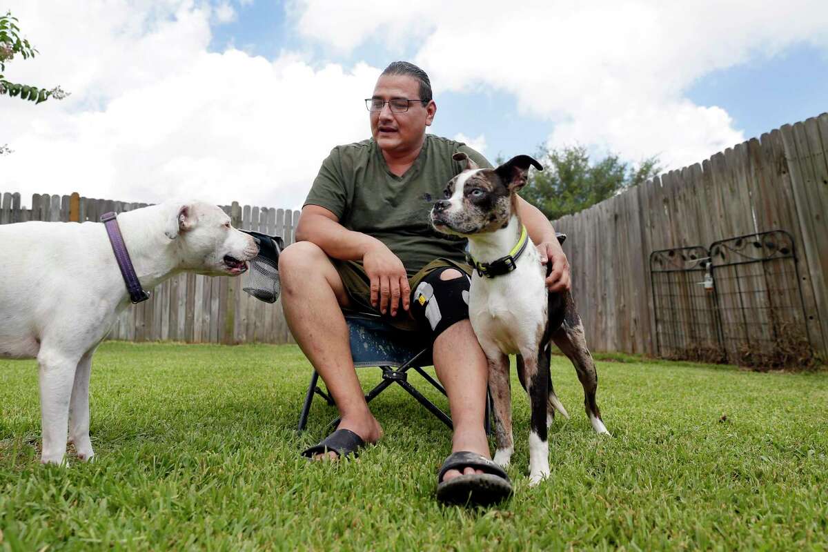 Going back to work? Here’s how to transition your pets.